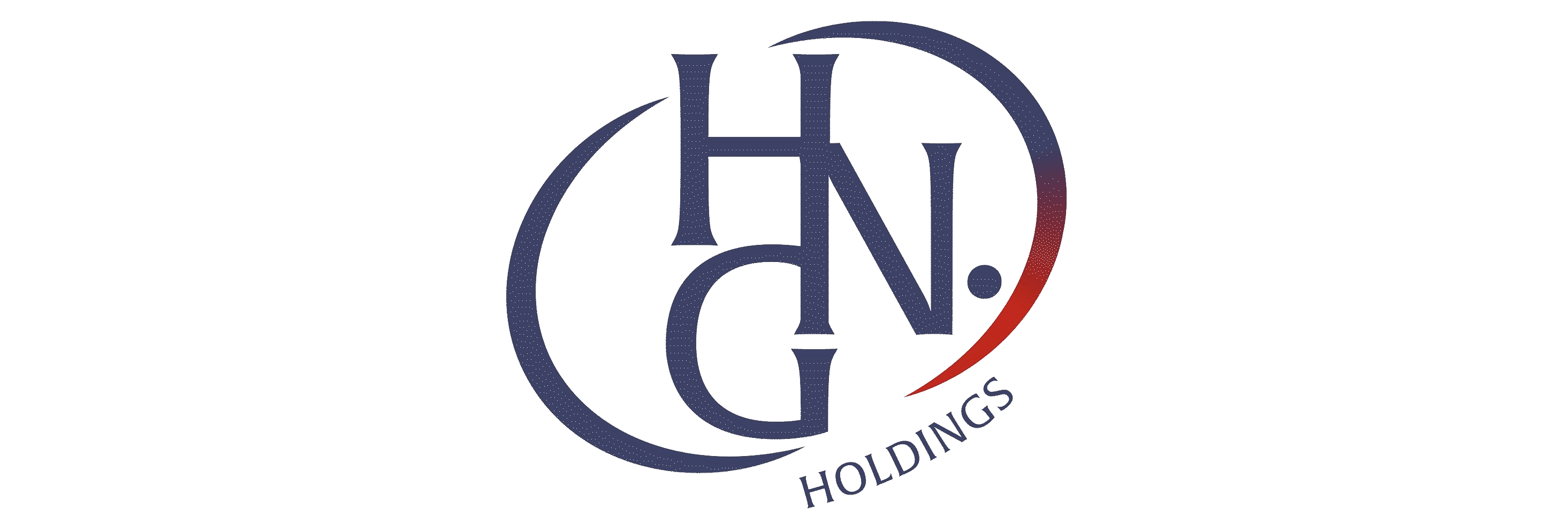 【公式】HNG.HOLDINGS Group